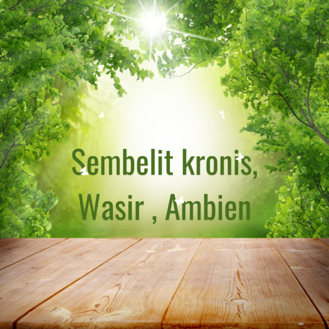 TESTIMONI SEMBELIT KRONIS , WASIR , AMBIEN – Terrain-Model